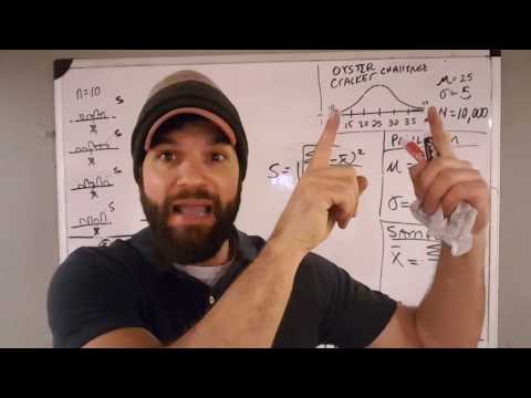 n vs n-1. Why are there 2 formulas for the standard deviation?