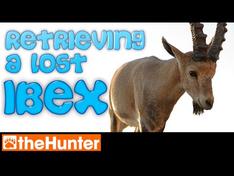 Steam Community :: Video :: How to retrieve an Ibex on a ledge ...