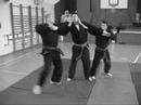 Ninjutsu Joint Locks: Principles, Applications, and Variations | AKBAN