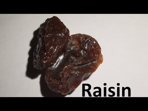 Steam Community :: Video :: Raisin