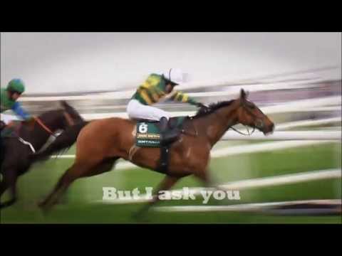 So you think equestrianism is easy ?