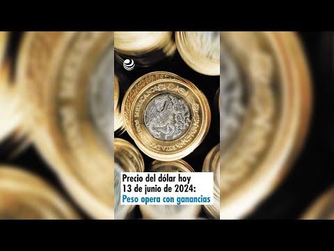 Reel-Precio del dólar hoy 13 de junio de 2024; Peso opera con ganancias