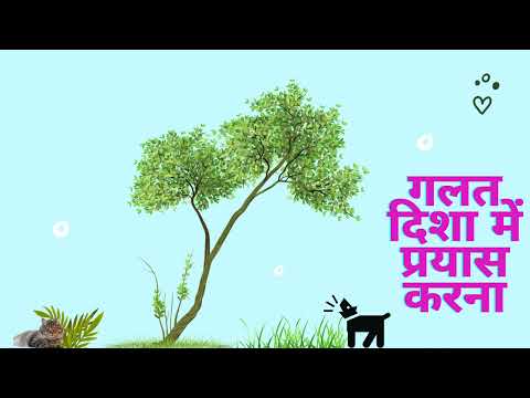Barking Up the Wrong Tree का हिंदी में मतलब | Learn English Idioms