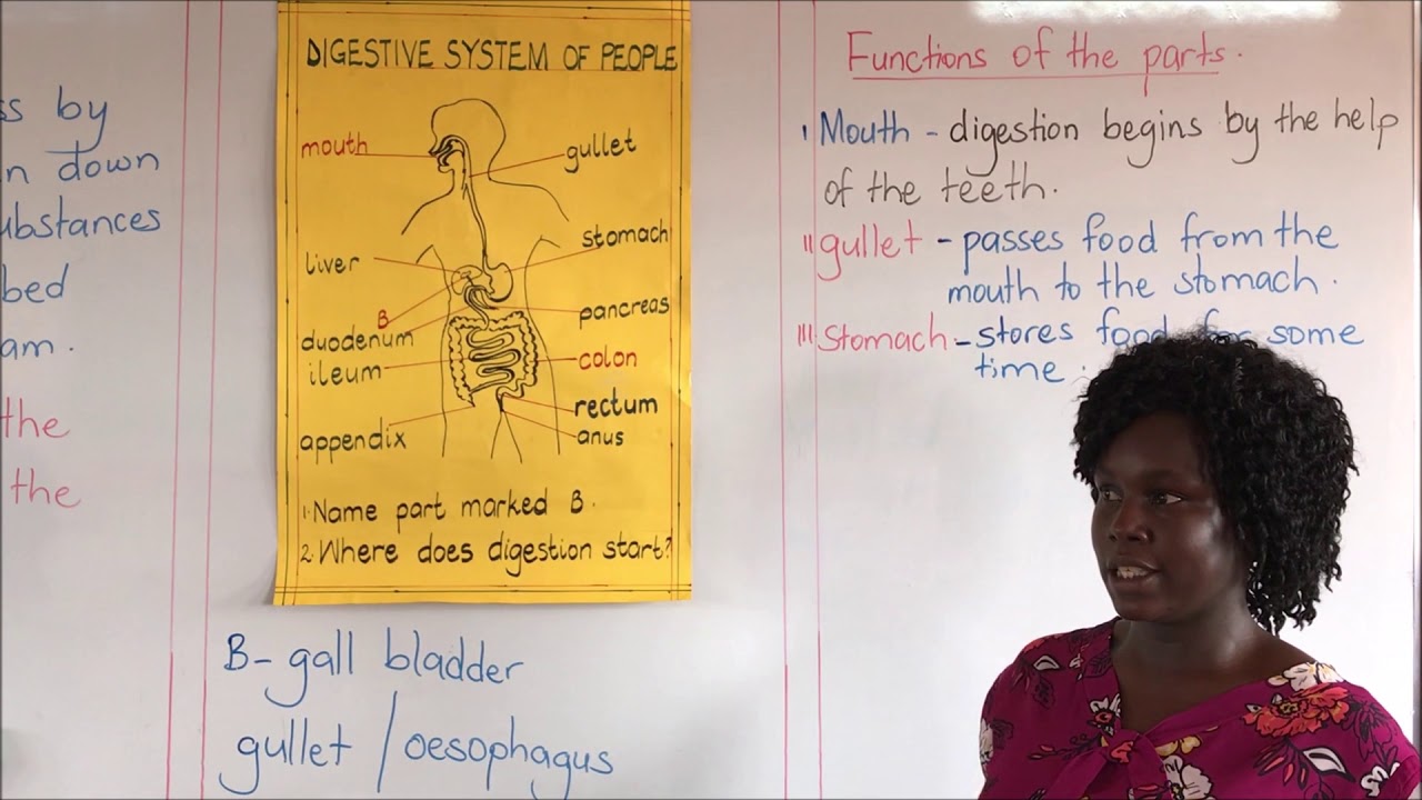 PRIMARY 5 SCIENCE Lesson 1
