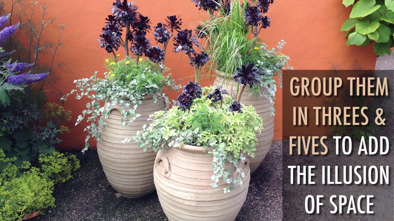How to Plan an Urban Garden