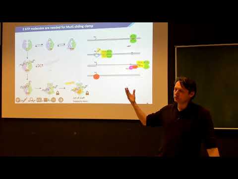 NeCEN Leiden EM-meeting with Meindert Lamers (LUMC)