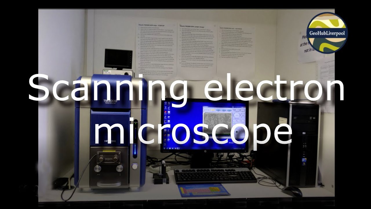 Scanning electron microscope