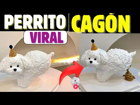 VIRAL SHITTY PUPPY!!! EXPECTATION/REALITY