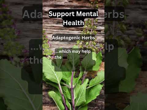 Support your mental health with adaptogenic herbs #mentalhealth #adaptogens #herbs #health #healing