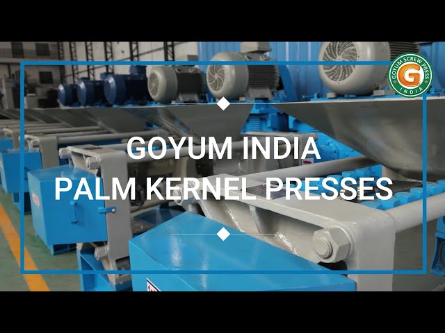 Oil Press Machine - Palm Kernel Oil Press Machine Manufacturer from ...