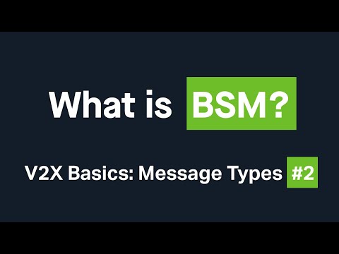What is BSM?