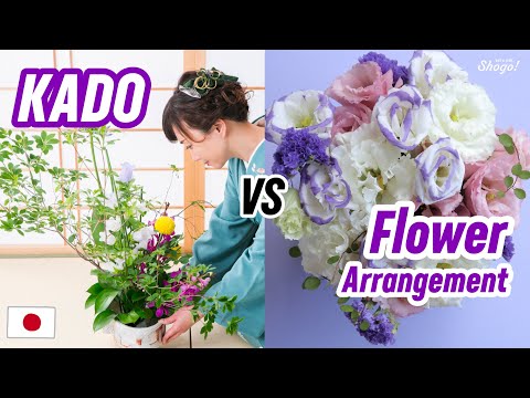 How Can Ikebana Arranging Flowers be a Way to Forge Your Mind? 3 Differences Between the Two Arts