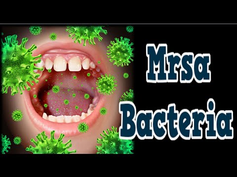 Mrsa Bacteria, Antibiotic For Mrsa, Mrsa Nares, Treatment Mrsa, Mrsa Signs And Symptoms