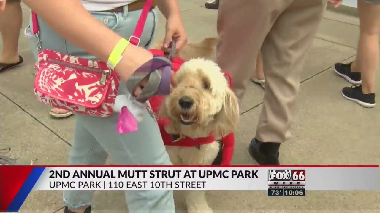 Mutt Strut at UPMC Park