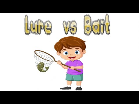 Difference between Lure and Bait