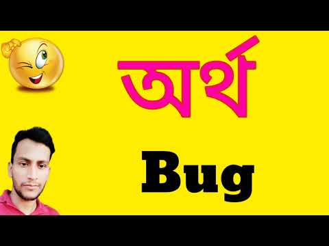 অর্থ Bug | Bug বাংলায় অর্থi | Bug meaning in bangla | Artha Bug