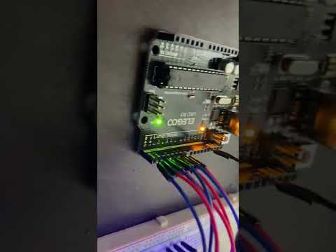 Toggling eight LED’s using the ATmega328 on the Arduino Uno