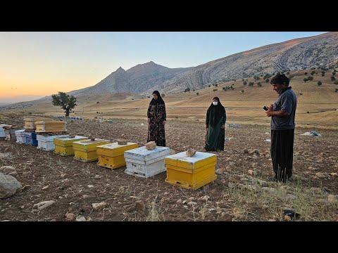 Single Mom's Sweet Dream: Can She Fund 10 Beehives and Start a Beekeeping Business?