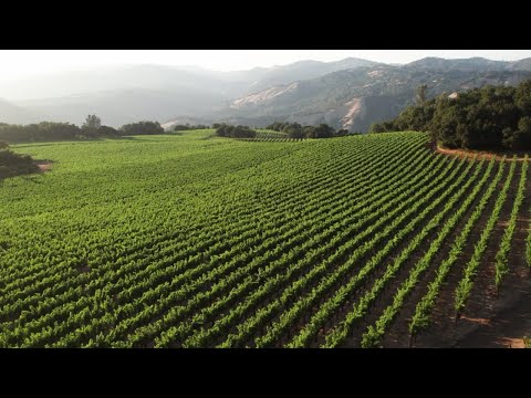 Chappellet Winery on Pritchard Hill, Napa Valley