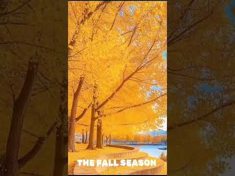 AMAZING SEASON OF FALL COLOURS