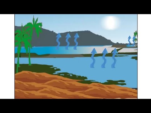 Moisture in air | Precipitation | Evaporation | Condensation | Humidity |