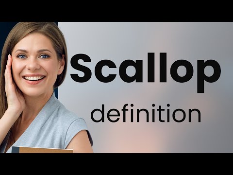 Scallop — what is SCALLOP definition