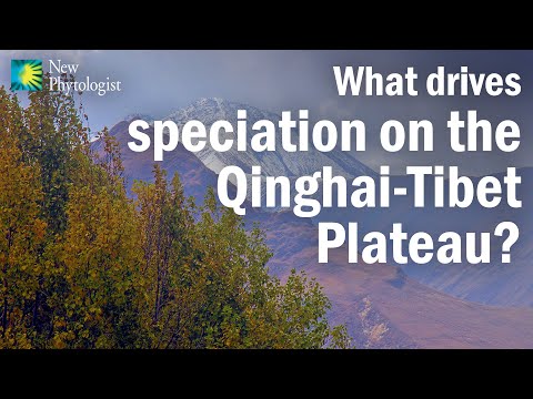 Species divergence with gene flow and hybrid speciation on the Qinghai-Tibet Plateau