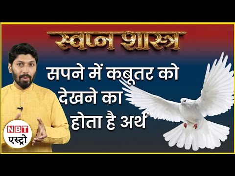 Pigeon in dream: सपने में कबूतर को देखने का मतलब | Dream Meaning | NBT Life