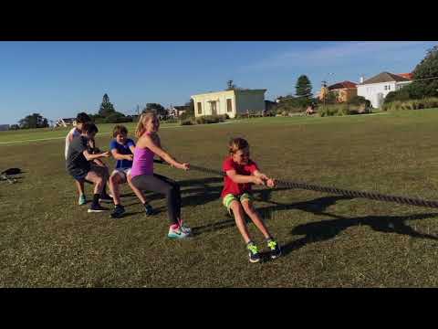 Elite Fitness Institute