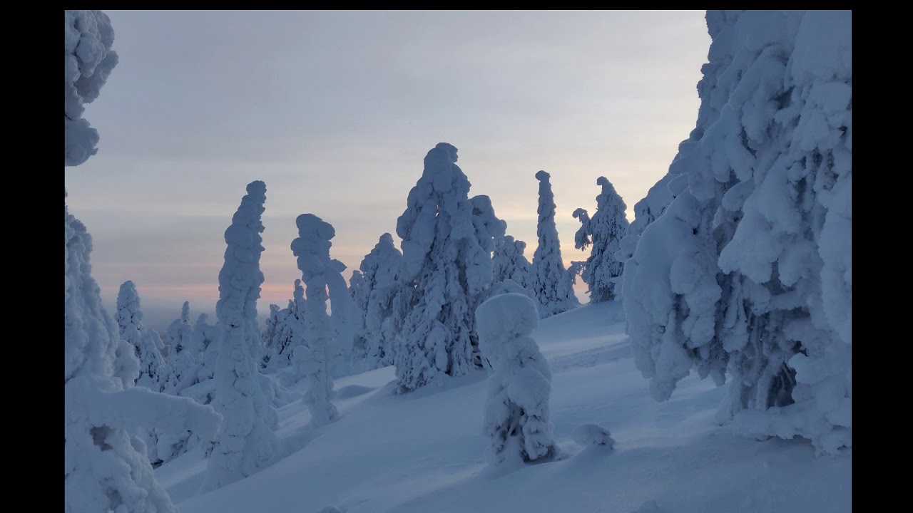 Login Enterprise Advanced Scripting - Assignment 3 - Print to PDF