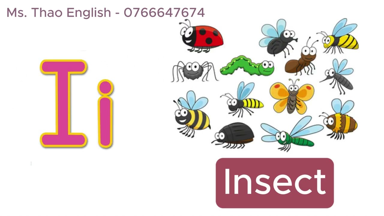 Everybody Up Starter - Unit 3 - Lesson 4