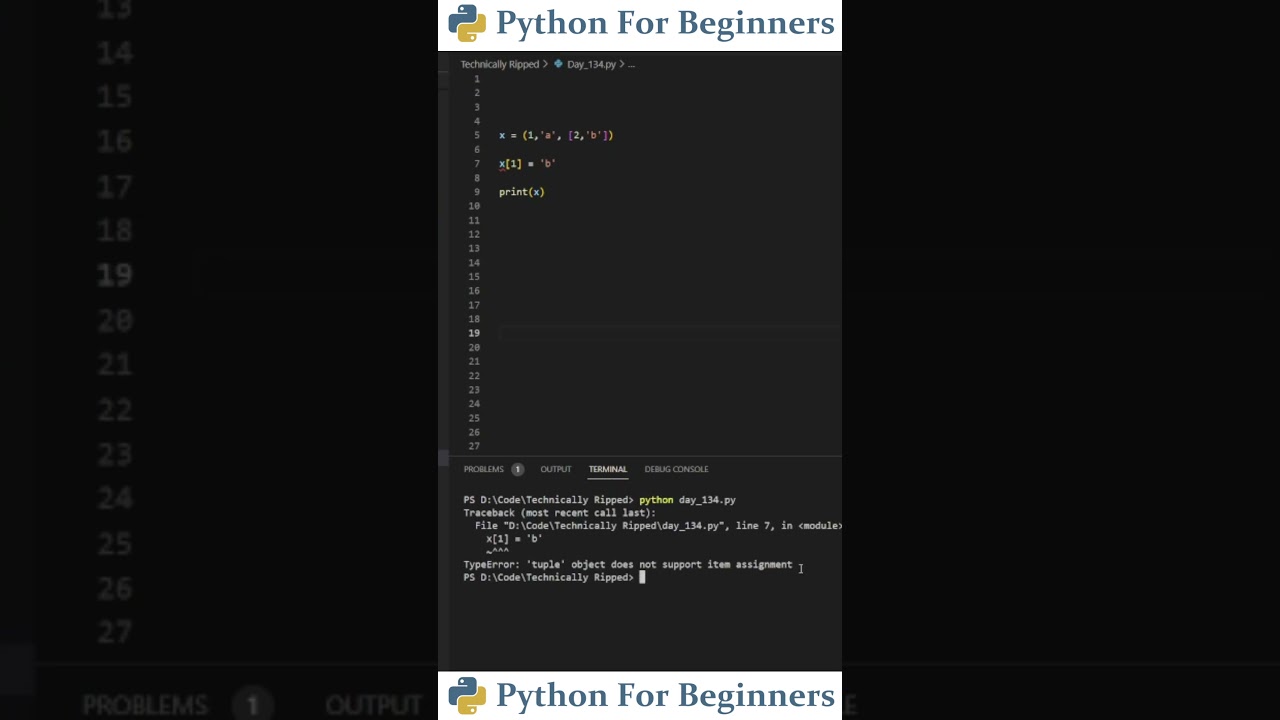 Changing Values In A Tuple | Python Tutorial