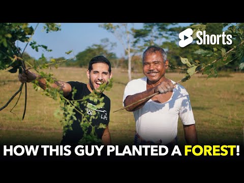 He Planted An Entire Forest By Himself #112