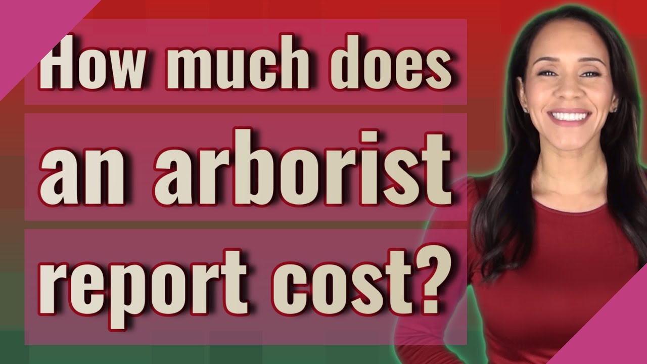 How much does an arborist report cost?