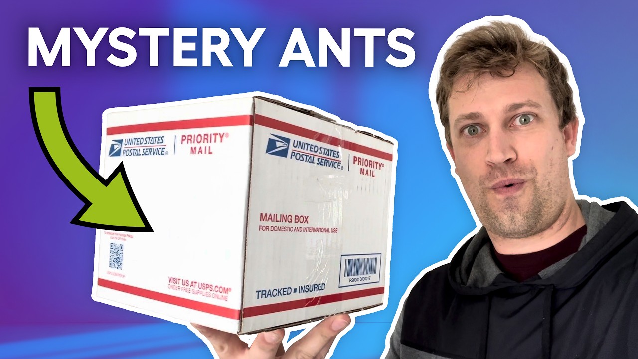 Unboxing NEW Ant Colonies! UNKNOWN SPECIES