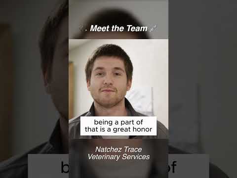 From Intern to Future Vet: A Career Journey Under Marc Smith, DVM, MS