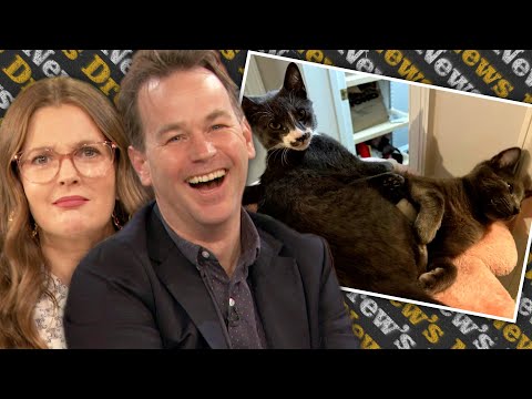 Mike Birbiglia Isn't Surprised That Cheating Wives are Likely to Own a Cat | Drew's News