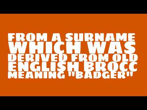 What is the origin of the name Brock?