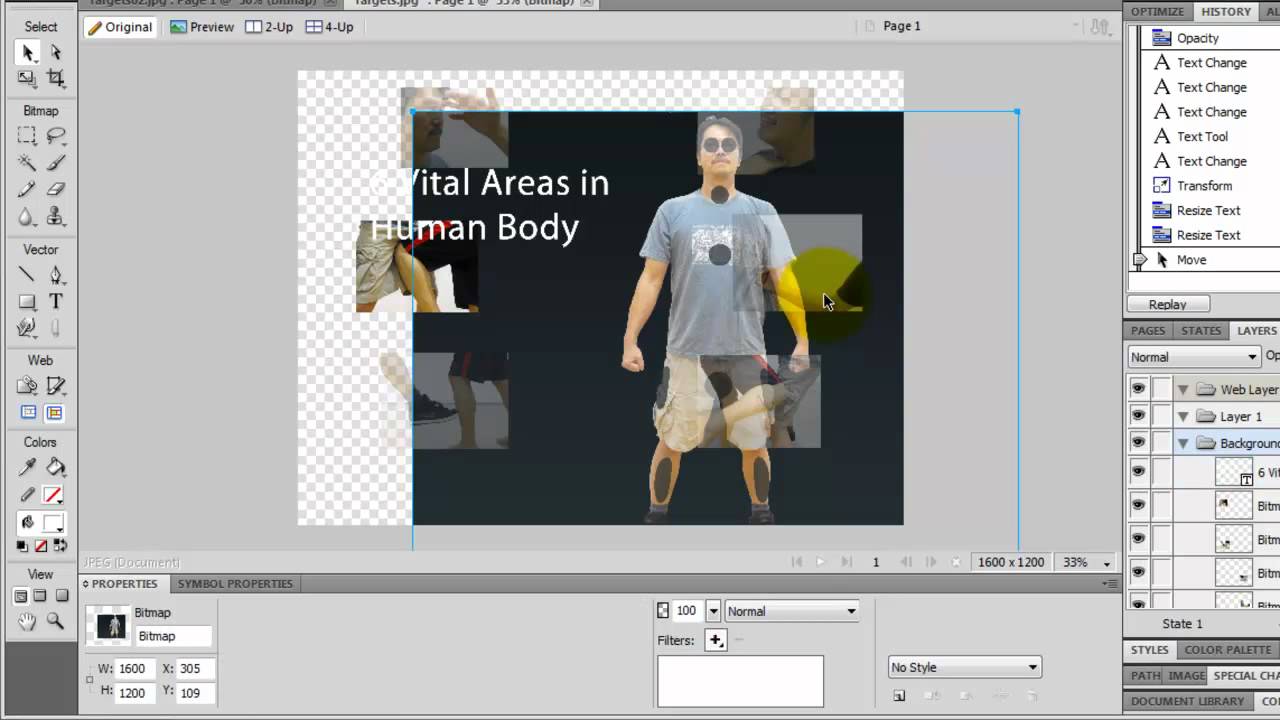 Adobe Fireworks CS5 - Add Text