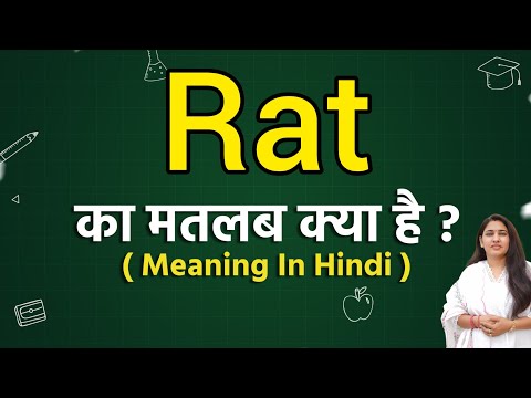 Rat meaning in hindi | Rat ka matlab kya hota hai | Word meaning