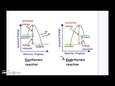 Endothermic Vs. Exothermic Reaction Graphs