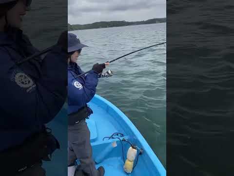 Record of squid ink spray.. 🦑