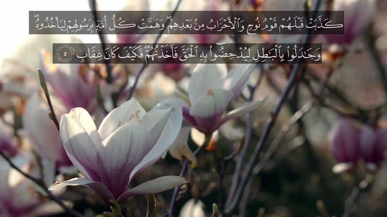 Surah Al Ghafir Verse no 1 6 English Quran