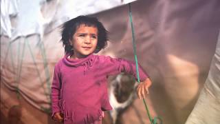 American Near East Refugee Aid (Anera) - GuideStar Profile