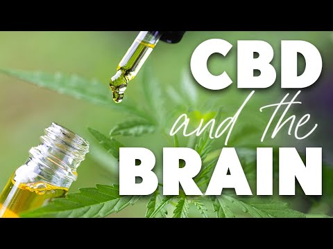 4 Ways CBD Affects the BRAIN