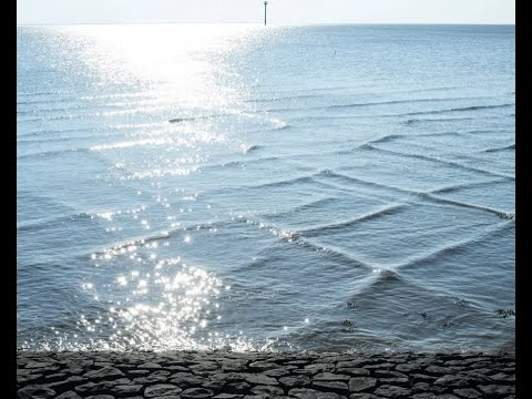 What Are Square Waves?