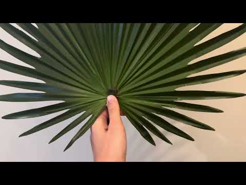 🌿 Tropical Vibes! Faux Palm Leaves Review 🌴 Perfect for Decor & Parties!