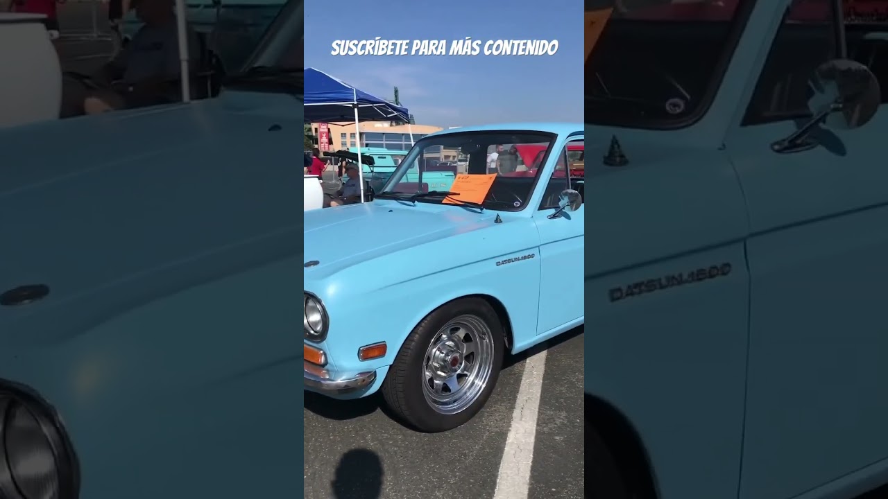 Las Datsunsitas! #datsun #truck #japan #usa #mexico #viralshort #viralreels #viral