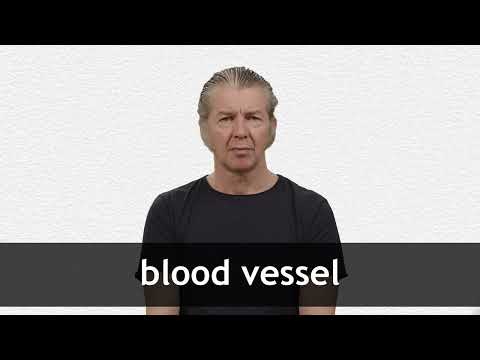 How to pronounce BLOOD VESSEL in American English