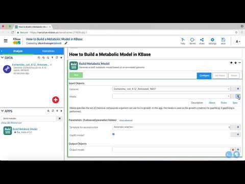 KBase Narrative - Microbial Metabolic Model Reconstruction and Analysis ...